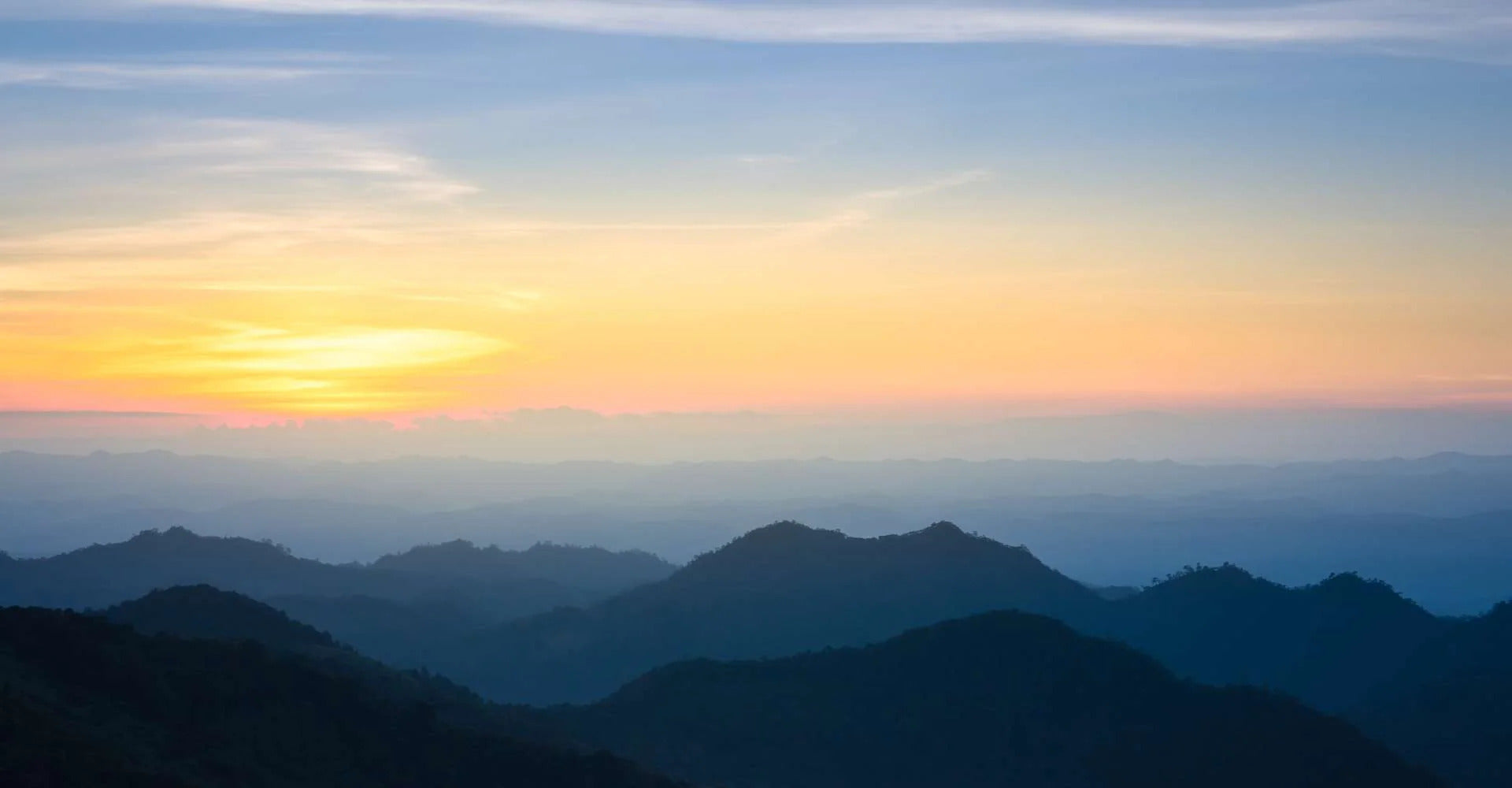 High-Performance Sunglasses | Sport, Fishing Sunglasses – Solar Bat